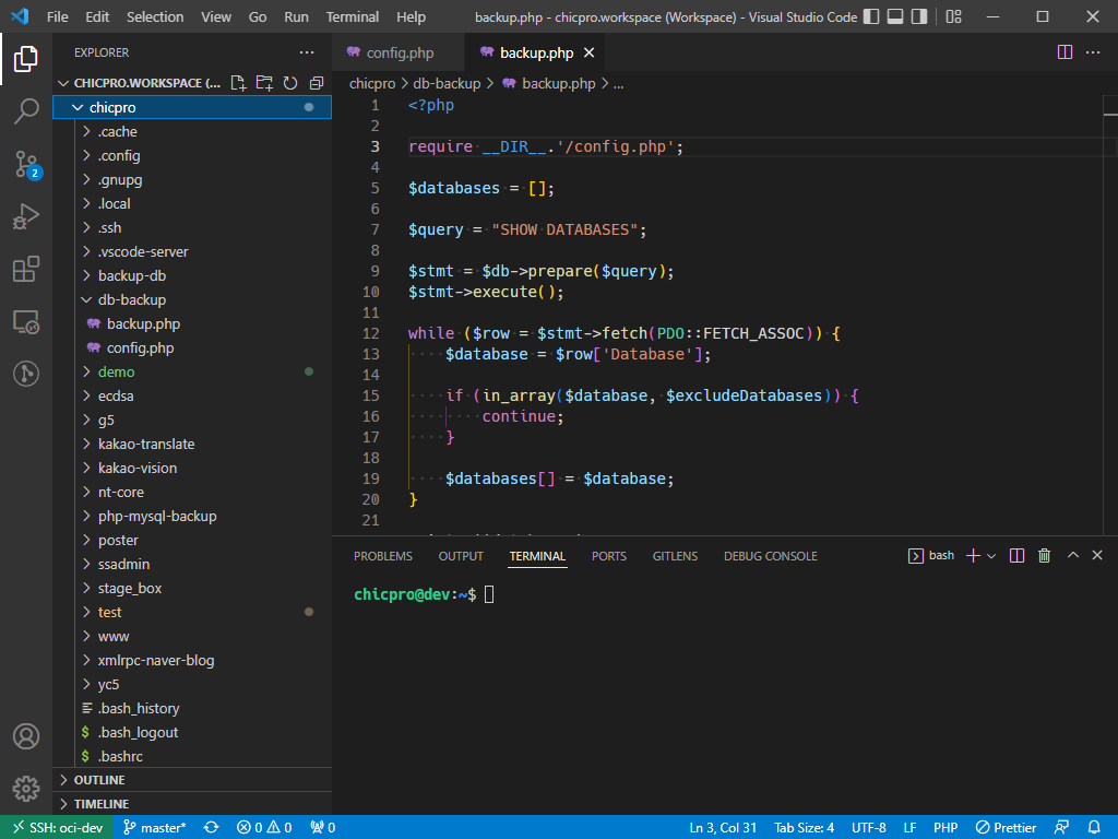 VS Code Bash profile CHICPRO